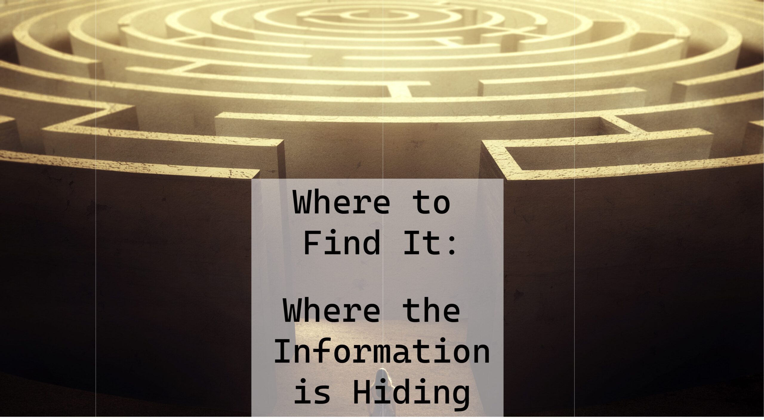 Special Education Action